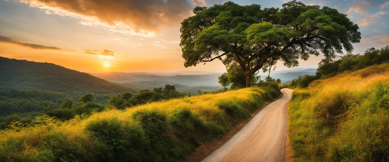 Pathways Made Clear: Trusting God's Guidance in Complex Decisions ...